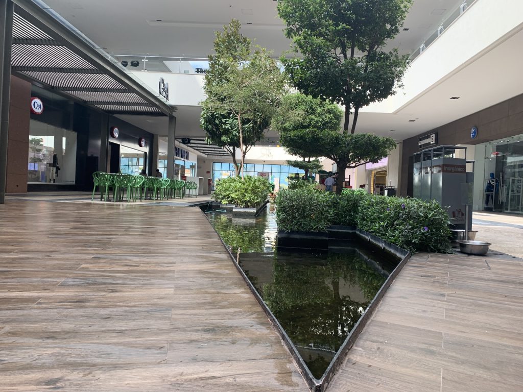 Altacia - Revista Pro León