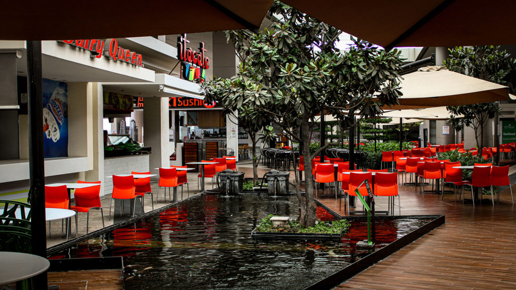 Altacia - Revista Pro León