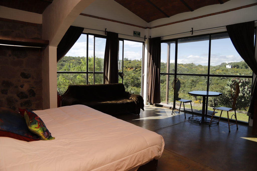 Echological - Revista Pro León